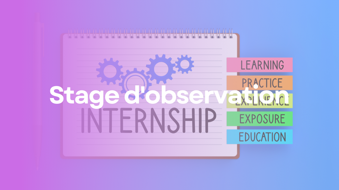 Stage d'observation - Fido